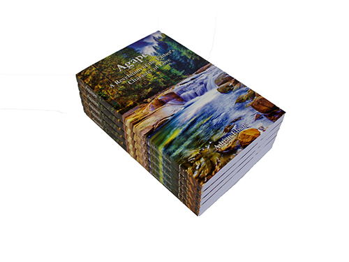 Perfect Bound Book Printing & Bound Booklet Solutions